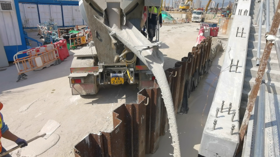 [Nano and Advanced Materials Institute] | HKGBC